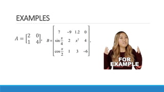 MATRICES_STANDARD11_AngelselciyaB.ed.pptx