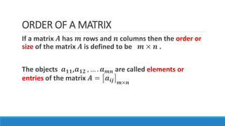 MATRICES_STANDARD11_AngelselciyaB.ed.pptx