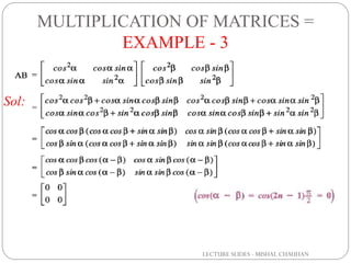 MATRICES CLASS XII MODULE 2 | PDF