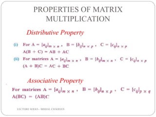 MATRICES CLASS XII MODULE 2 | PDF