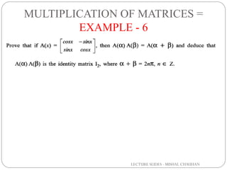 MATRICES CLASS XII MODULE 2 | PDF