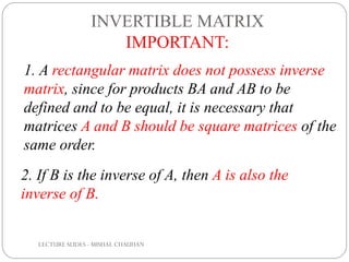 MATRICES CLASS XII MODULE 2 | PDF