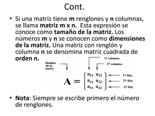 Las Matrices | PPTX