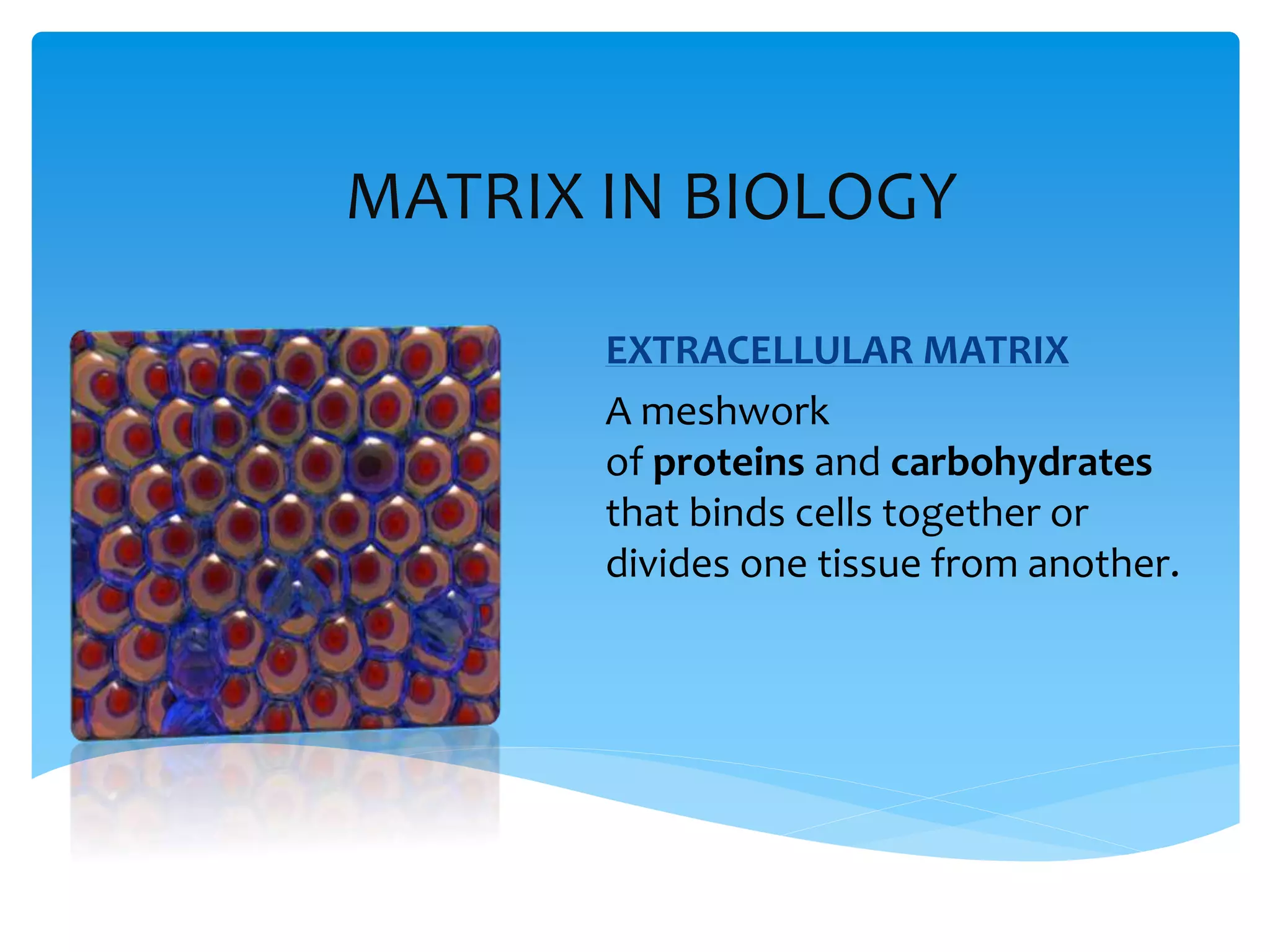 Matrices and its applications | PPTX