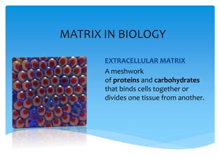 Matrices and its applications | PPTX