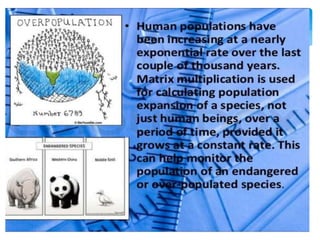 Matrices and its applications | PPTX