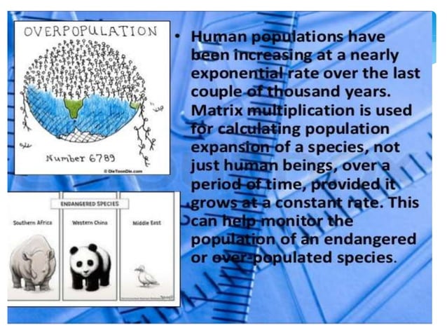 Matrices and its applications | PPTX | Physics | Science
