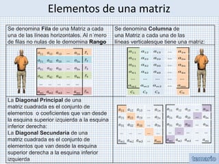 Matrices | PPTX