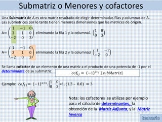 Matrices | PPTX