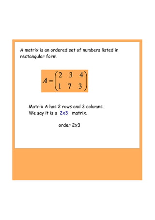IB Maths SL Matrices | PDF