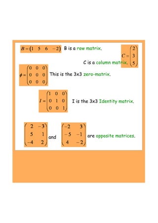 IB Maths SL Matrices | PDF