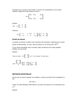 Matrices y determinantes | DOC