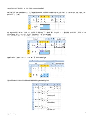 Matrices y determinates en forma manual y con excel | PDF