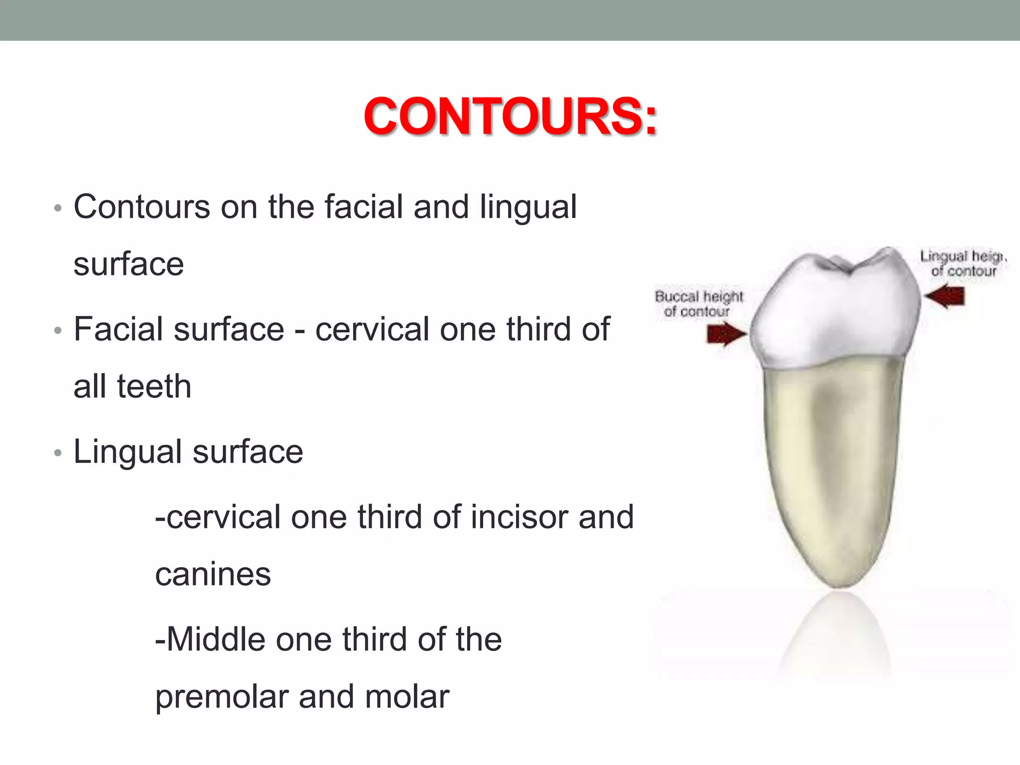 Matricing and tooth separation | PPTX