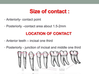 Matricing and tooth separation | PPT