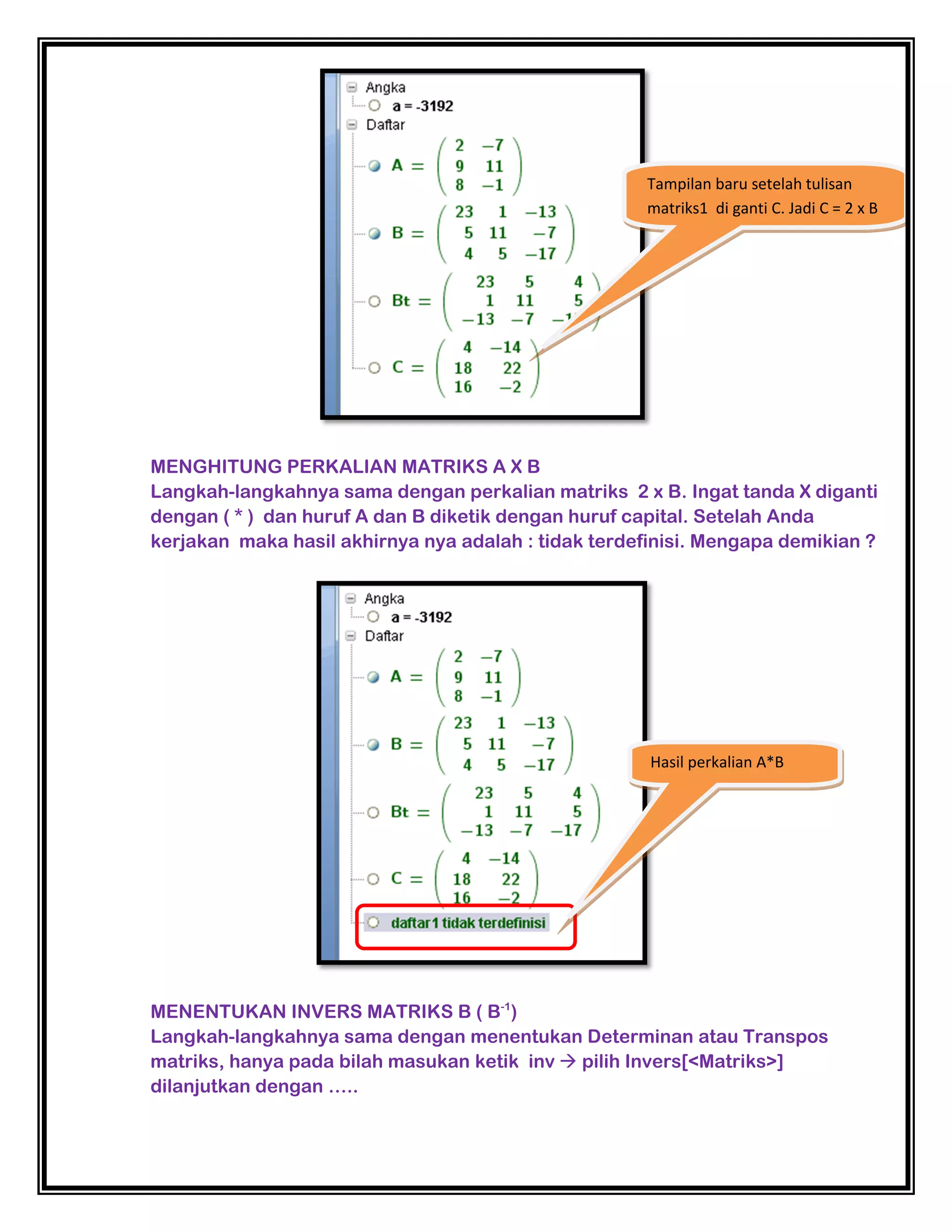 Penyelesaian soal matriks dengan geogebra | PDF