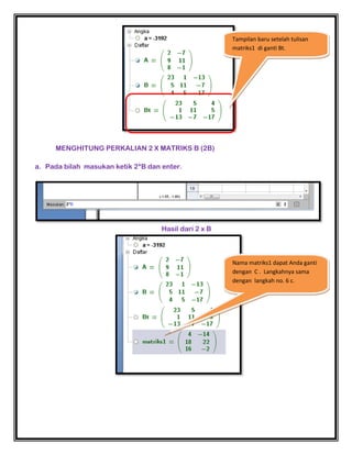 Penyelesaian soal matriks dengan geogebra | PDF