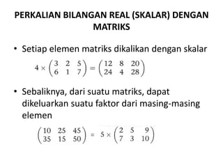 MATRIKS | PDF