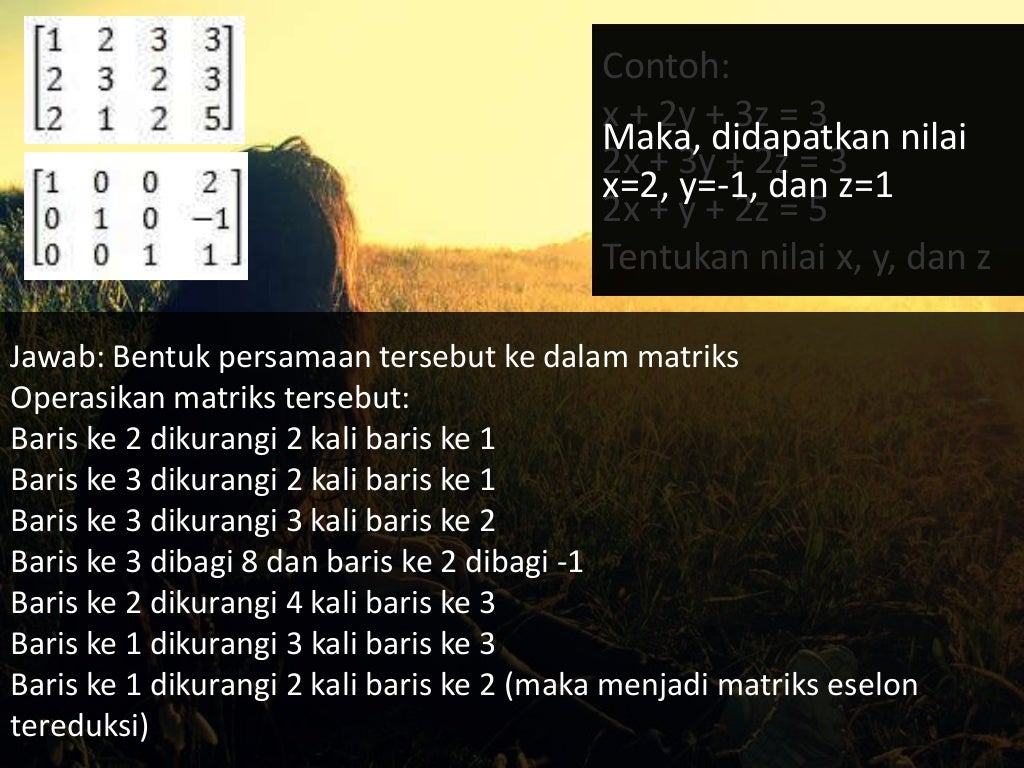 Matriks eselon baris dan eselon baris tereduksi Matriks eselon baris dan eselon baris tereduksi