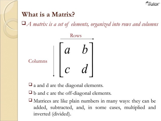 Linear Algebra and Matrix | PPT | Physics | Science