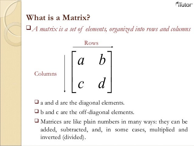 Linear Algebra And Matrix