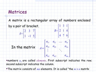 Matrix and Determinants | PPT | Physics | Science