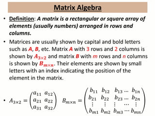 Matrix algebra | PDF