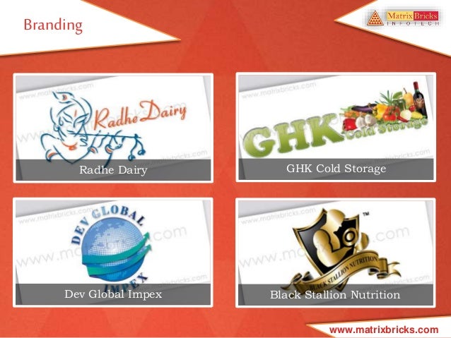 Introducing Matrix Bricks Infotech- Company Presentation -website des…