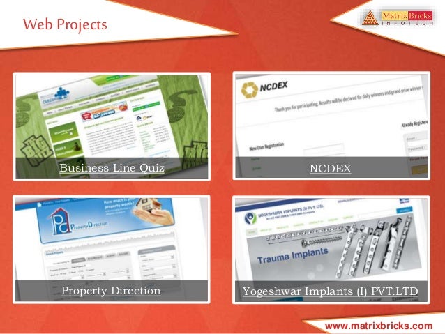Introducing Matrix Bricks Infotech- Company Presentation -website des…