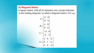 MATRIX CLASS 10.pdf