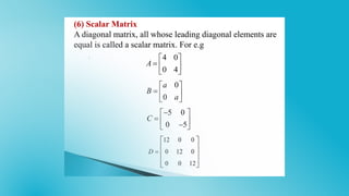 MATRIX CLASS 10.pdf