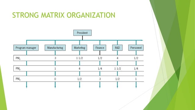 Matrixed organizations | PPT