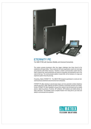 Matrix eternity pe brochure | PDF