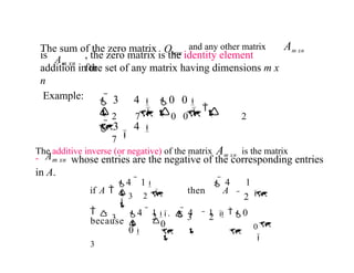 Introduction about matrix in Finite Mathematics.pptx
