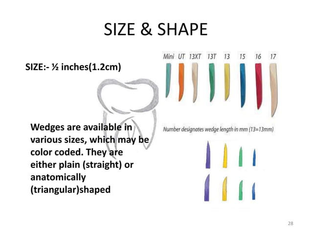 Matrixing and wedges | PPTX | Oral care | Personal Care