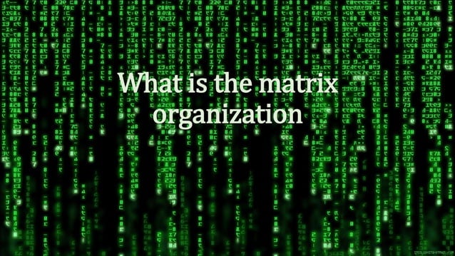 Matrix management | PPTX