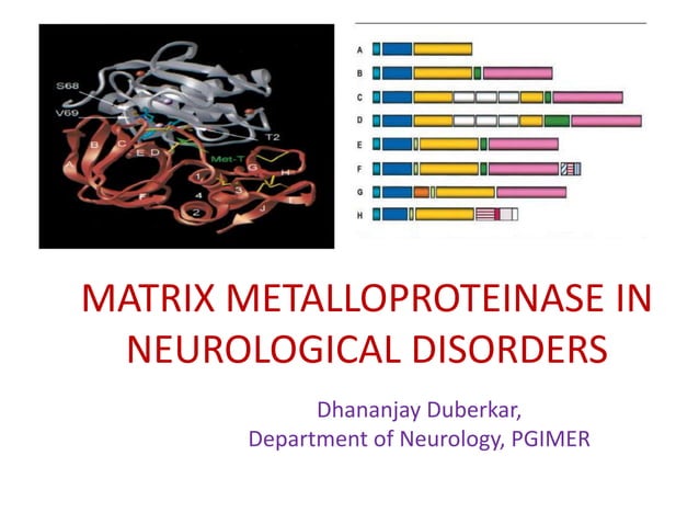 Matrixmetalloproteinase | PPTX