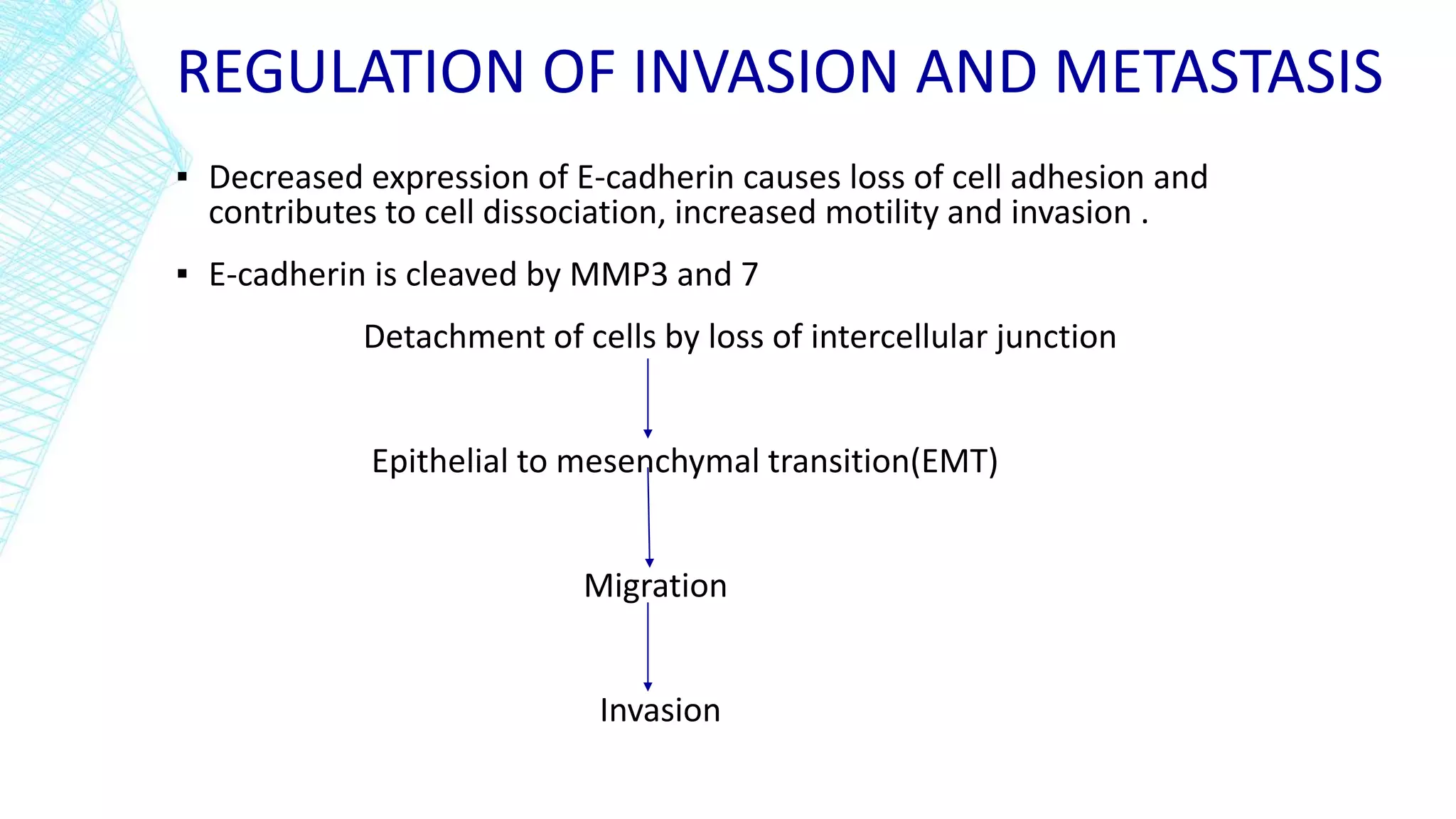 Matrix metalloproteinases | PPTX