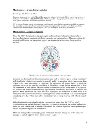 Matrix mirrors project | PDF