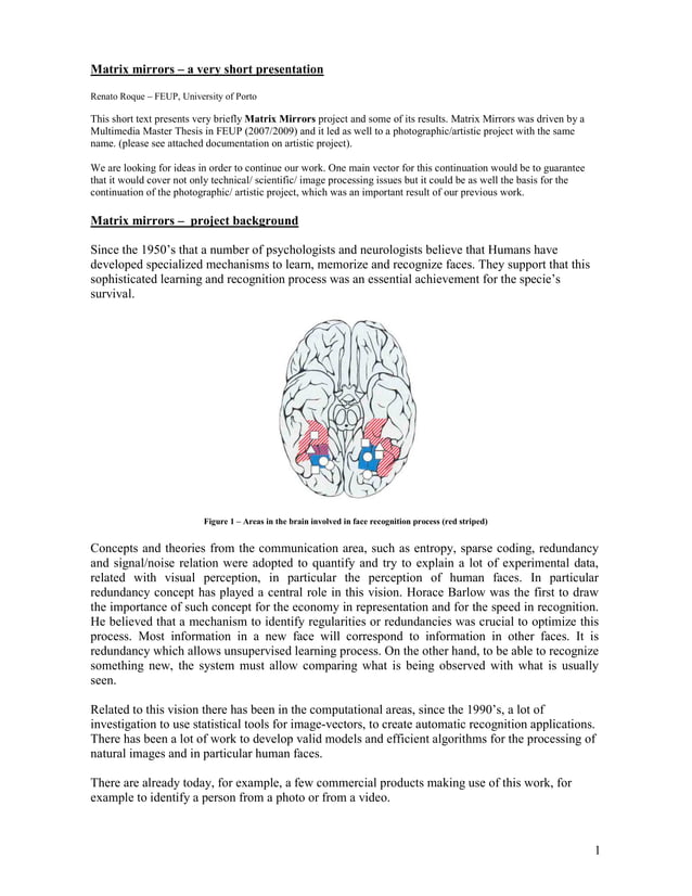 Matrix mirrors project | PDF