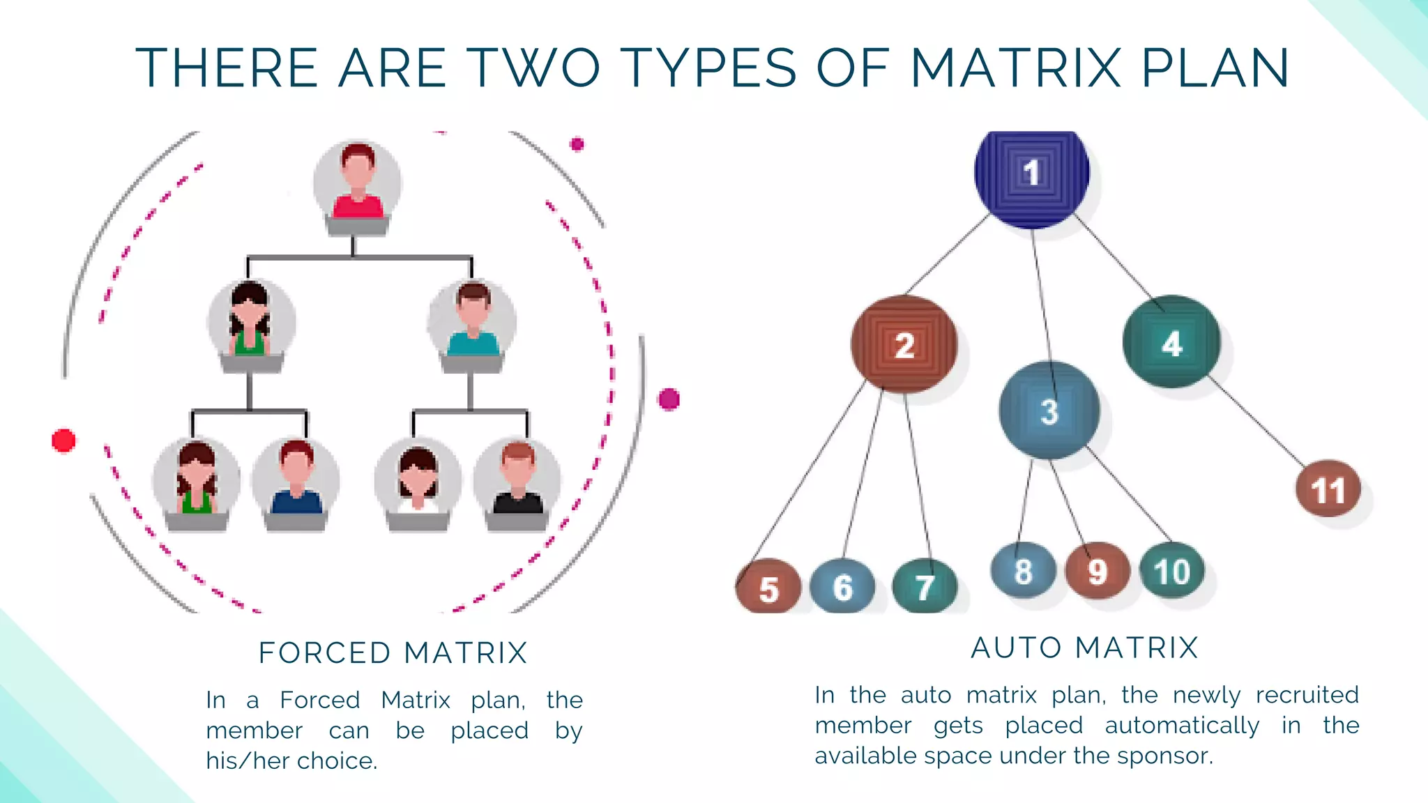 What is Matrix MLM plan? How Does it Work? | PDF