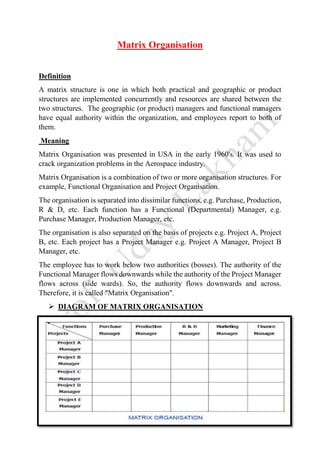 Matrix organisation | PDF