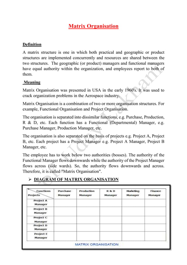 Matrix organisation | PDF