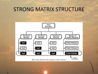 Matrix organization | PPTX