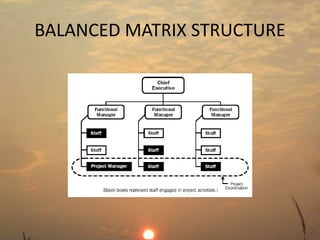 Matrix organization | PPTX
