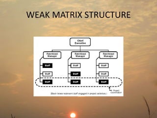 Matrix organization | PPTX