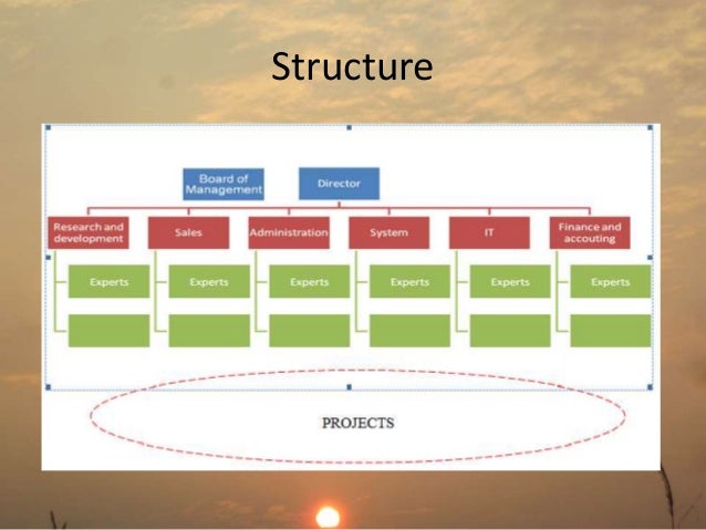 Organization Structure Functional Projectized Matrix