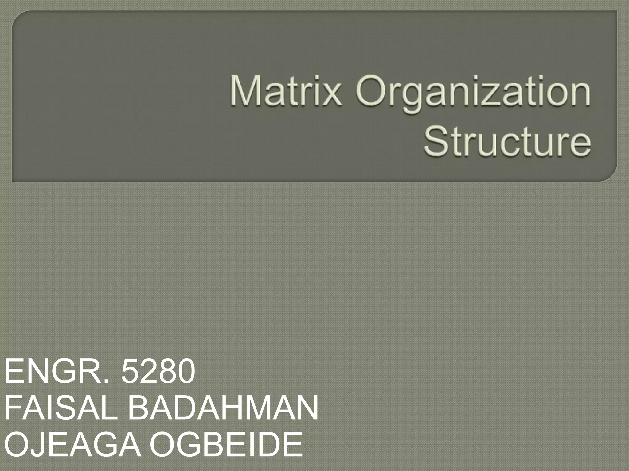Matrix organization structure project final,fab 1 | PPTX