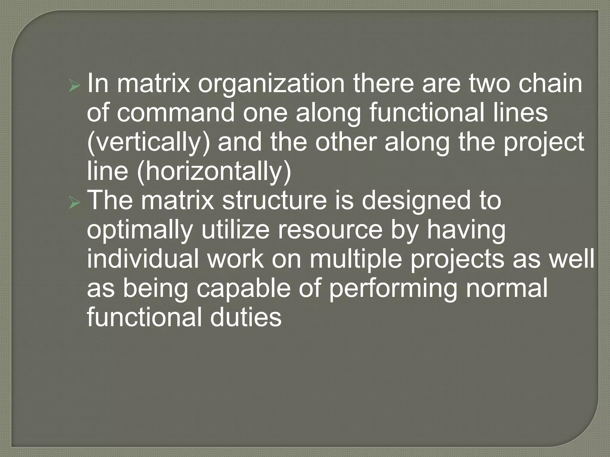 Matrix organization structure project final,fab 1 | PPTX
