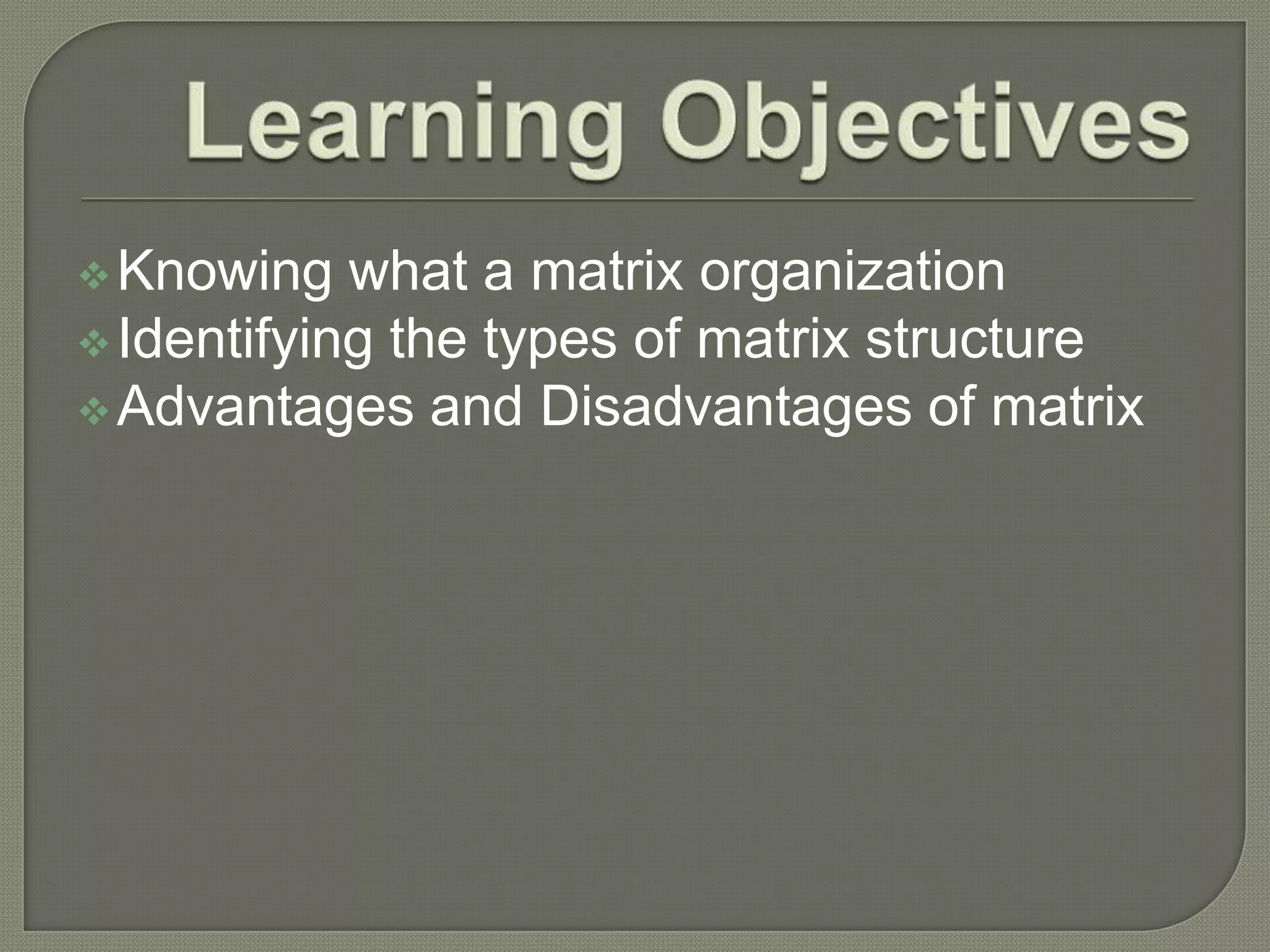Matrix organization structure project final,fab 1 | PPTX